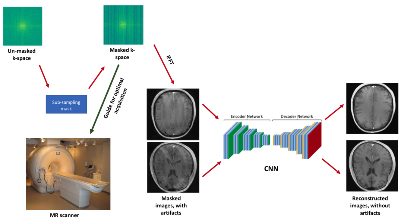 CNN-Guided Sub-Sampling and Reconstruction of Clinical Brain MR Data